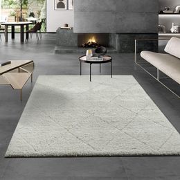 Teppich the carpet, B:160cm H:30mm L:230cm, beige, Polypropylen, Teppiche, "Bahar Shaggy"