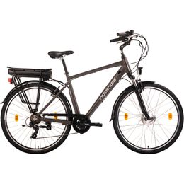 HOLLANDIA E-Bike "Zagon", 53cm, 28 Zoll (71,12cm), grau, Elektrofahrräder, Pedelec, Elektrofahrrad für Damen u. Herren