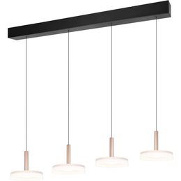 Trio LEUCHTEN LED Pendelleuchte "CELESTE dimmbare LED Hängelampe aus Metall und Glas, 7,5W, 750 Lumen", 4, H: 200cm, 1 Stk., braun, Leuchten,