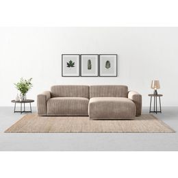 Ecksofa Trendmanufaktur, B:255cm H:72cm T:160cm, beige, 88% Polyester, 12% Polyacryl, Wohnzimmer, Sofas, "Braga, mit hochwertigem Kaltschaum, L-Form,