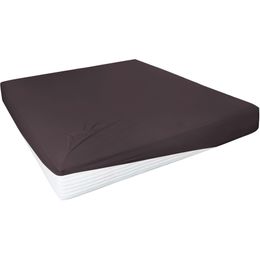 Spannbettlaken Primera, braun, Jersey-Elasthan, Obermaterial: 95% Baumwolle, 5% Elasthan, Bettlaken, "Elasthan-Feinjersey", PREMIUM, aus 95%