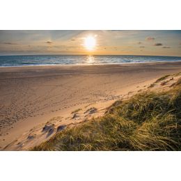 papermoon Fototapete "Dunes Beach Jutland", B/L: 4m x 2,6m, Bahnen: 8 Stk., bunt, Tapeten