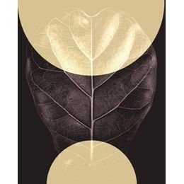 Bild Komar, B:40cm H:50cm, braun, Holz, Papier, Wohnzimmer, Bilder, "Shadow Theatre", Wandbild zur Dekoration - ohne Rahmen