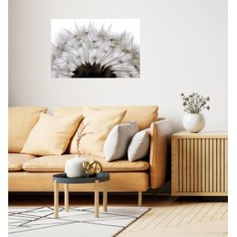 queence Wandsticker "Pusteblume", B/H/T: 120cm x 80cm x 0,1cm, Blume Pusteblume, weiß, Kinderzimmer, Wandtattoos, Selbstklebend, kinderleichte