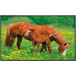 papermoon Infrarotheizung "Birkenwald", B/H/T: 120cm x 75cm x 3cm, 900 W, bunt, Heizk&ouml;rper, sehr angenehme Strahlungsw&auml;rme