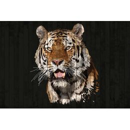 Fototapete "Atelier 47 Polygon Tiger 2", B/L: 4mm x 2,7mm, schwarz-weiß, ARCHITECTS PAPER, Tapeten, Vlies, Wand, Schräge, Decke