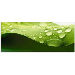 Glasbild Artland, B:125cm H:50cm, gr&uuml;n, Glas, K&uuml;che, Bilder, "Blatt", in verschiedenen Gr&ouml;&szlig;en