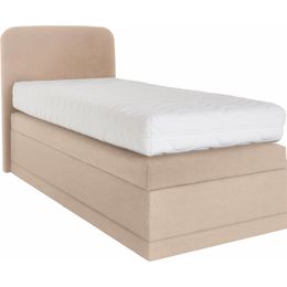 Boxspringbett, B:105cm L:212cm, beige, Westfalia Schlafkomfort, Box und Kopfteil: Microvelours (100% Polyester) oder Kunstleder (Polyurethan);Bezug
