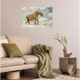 queence Wandsticker "Tanz auf dem Seil", B/H/T: 120cm x 80cm x 0,1cm, Elefant Elefanten, braun, Küche, Wandtattoos, Selbstklebend, kinderleichte