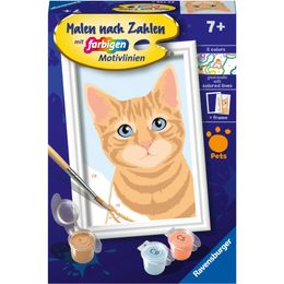 Ravensburger Kinder Malen nach Zahlen "CreArt, Niedliche Katze", bunt, B:5cm H:12cm, Malvorlagen, Made in Europe