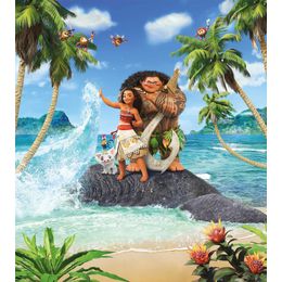 Komar Vliestapete "Digitaldruck Vlies - Moana Beach - Gr&ouml;&szlig;e 250 x 280 cm", B/L: 250mm x 280mm, Rollen:, bunt, Wohnzimmer, Tapeten, Kinderzimmer