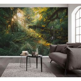 Komar Fototapete "Digitaldruck Vlies - Hall of Mosses - Gr&ouml;&szlig;e 400 x 250 cm", Rollen:, gr&uuml;n, Tapeten, Wohnzimmer, Schlafzimmer