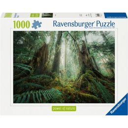 Ravensburger Kinder Puzzle "power of nature, Faszinierender Wald", bunt, B:70cm H:50cm, Puzzles, Made in Germany