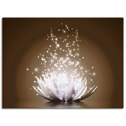Wandbild Artland, B:40cm H:30cm, braun, Leinwand, Wohnzimmer, Bilder, "Magie der Lotus-Blume", als Leinwandbild, Poster, Wandaufkleber in verschied.
