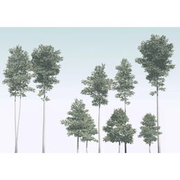 Komar Vliestapete "Digitaldruck Vlies - Pines - Gr&ouml;&szlig;e 400 x 280 cm", B/L: 400m x 280m, Rollen: 1, bunt, Wohnzimmer, Tapeten, Wohnzimmer, Schlafzimmer