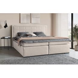 Boxspringbett Collection AB, B:193cm L:208cm, beige, Holzwerkstoff, Spanplatte, Komplettbetten, "30 Jahre Jubiläums-Modell Athena", in H2,H3 & H4,