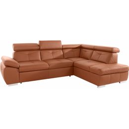 Ecksofa, B:274cm H:81cm T:206cm, braun, exxpo - SOFA FASHION, NaturLEDER (echtes Rindsleder) in Sitz und R&uuml;cken. Korpus in passendem Kunstleder