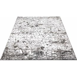 Teppich Carpet City, B:80cm H:11mm L:150cm, grau, Kunstfaser, Wohnzimmer, Teppiche, "Moda 1130", Kurzflor, Wohnzimmer