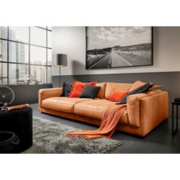 Big-Sofa 3C CANDY, B:294cm H:85cm T:150cm, braun, 100% Leder, Sofas, "Karalis mit extra gro&szlig;er Sitztiefe, elegantes Mega Sofa zum Relaxen", auch in