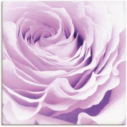 Wandbild Artland, B:100cm H:100cm T:1,8cm, pink, Leinwand, Wohnzimmer, Bilder, "Pastell Rose", als Leinwandbild, Poster, Wandaufkleber in verschied.