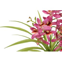 Kunstblume I.GE.A., B:39cm H:38cm L:11cm, rosa, Polyester, Kunstpflanzen, "Kunstblume Schmetterling Orchidee mit Keramiktopf", Mit Bl&auml;tter