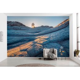 Komar Fototapete "Digitaldruck Vlies - Elephant Skin - Gr&ouml;&szlig;e 400 x 250 cm", Rollen:, grau, Tapeten, Wohnzimmer, Schlafzimmer