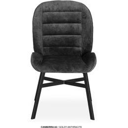 Esszimmerstuhl OMG DESIGN, B:51cm H:94cm T:62cm, grau, Polyester, St&uuml;hle, "Canberra", Esszimmerstuhl, pflegeleichter Samtvelour Bezug
