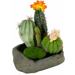 Kunstpflanze I.GE.A., B:15cm H:19cm T:14cm, orange, Kunststoff, Polyester, Kunstpflanzen, "Kakteen"