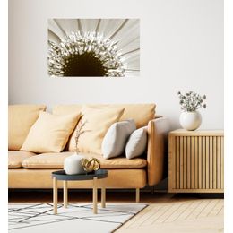 queence Wandsticker "Sonnenblume", B/H/T: 150cm x 90cm x 0,1cm, Blume Sonnenblumen, beige, Kinderzimmer, Wandtattoos, Selbstklebend, kinderleichte