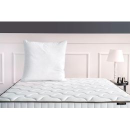 Baumwollkissen Yatas Bedding, B:80cm L:80cm, weiß, Bezug: 100% Baumwolle. Füllung: 100% Baumwolle, Kopfkissen, "Cotton, Kissen 40x80 cm", allergiker