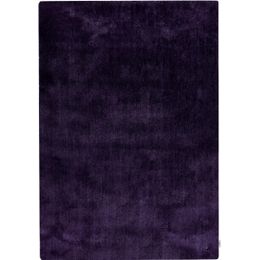 Hochflor-Teppich Tom Tailor HOME, B:65cm H:25mm L:135cm, lila, Polyester, Teppiche, "Shaggy Teppich Cozy", Uni Farben, auch in Pastell Farben, weich