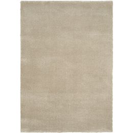 Teppich, B:300cm H:20mm L:400cm, beige, OCI DIE TEPPICHMARKE, Polypropylen, Wohnzimmer, Teppiche, "NEW VILLA MELANGE, auch als L&auml;ufer und in Rund",