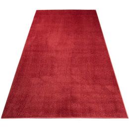 Teppich Carpet City, B:80cm H:14mm L:300cm, rot, Kunstfaser, Wohnzimmer, Teppiche, "Softshine 2236", L&auml;ufer, Hochflor, besonders weich, robust, Uni,