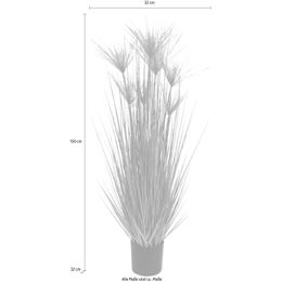 Kunstpflanze I.GE.A., B:32cm H:150cm T:32cm, gr&uuml;n, Kunststoff, Badezimmer, Kunstpflanzen, "Zyperngras im Topf"