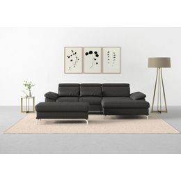 Sit & More Ecksofa SIT & MORE, B:295cm H:87cm T:180cm, braun, Wohnzimmer, Sofas, "Cabrio L-Form, B: 295 cm, mit Sitztiefen-, Arm- & Kopfteilverstellung", 2