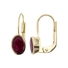 Jobo Damen Paar Ohrh&auml;nger, Gelbgold 333, gold, Gelbgold 333, Ohrringe, oval 333 Gold mit Rubin