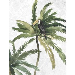 Bild Komar, B:30cm H:40cm, bunt, Holz, Papier, Wohnzimmer, Bilder, "Tropical Toucan", Wandbild zur Dekoration - ohne Rahmen