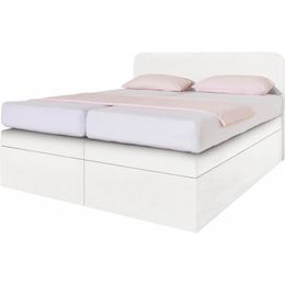 Boxspringbett, B:195cm L:212cm, wei&szlig;, Westfalia Schlafkomfort, Box und Kopfteil: Microvelours (100% Polyester) oder Kunstleder (Polyurethan);Bezug