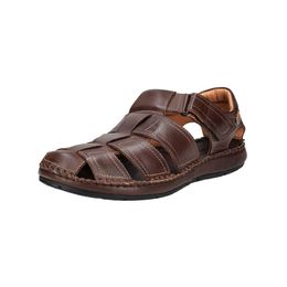 Pikolinos Herren Klettschuh "Pikolinos Halbschuhe Leder", Gr. 45, braun, Leder, Schuhe