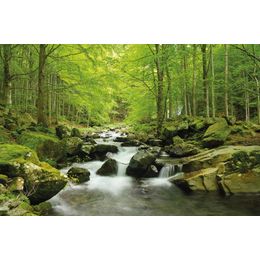 papermoon Fototapete "Soft Water Stream", B/L: 5m x 2,8m, Bahnen: 10 Stk., bunt, Tapeten