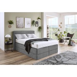 Boxspringbett, B:155cm L:205cm, grau, Westfalia Schlafkomfort, Microvelours (100% Polyester), Komplettbetten, wahlweise mit Kaltschaum-Topper
