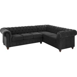 Chesterfield-Sofa Home Affaire, B:255cm H:74cm T:214cm, grau, Samtoptik (100% Polyester);Samtoptik (100% Polyester);Luxus-Microfaser Lederoptik (100%