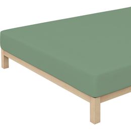 Spannbettlaken Schlafgut, gr&uuml;n, Mako-Zwirn-Jersey, Obermaterial: 95% Baumwolle, 5% Elasthan, Bettlaken, "Premium", Zero Waste Verpackung, PREMIUM