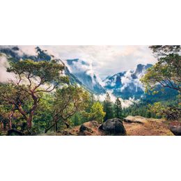 Komar Vliestapete "Digitaldruck Vlies - Unique Paradise - Gr&ouml;&szlig;e 200 x 100 cm", B/L: 200mm x 100mm, Rollen:, bunt, Tapeten, Wohnzimmer, Schlafzimmer