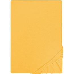 Spannbettlaken, B:120cm L:200cm, orange, CASTELL - MARKENBETTW&Auml;SCHE, Jersey, Obermaterial: 100% Baumwolle, Bettlaken, "Jersey in Gr. 90x200, 140x200