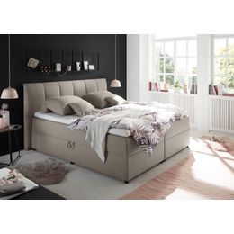 Boxbett ED EXCITING DESIGN ""Granada" OTTOs Choice, Topseller inkl. Bettkasten und Topper", schlamm colet 35, B:180cm L:213cm, 100% Polyester, Komplettbetten, erh&auml;ltlich in den Gr&ouml;&szlig;en 120x200cm & 180x200cm