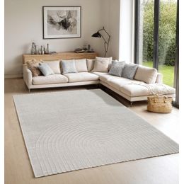 Teppich the carpet, B:200cm H:12mm L:280cm, grau, Polypropylen, Ankleidezimmer, Teppiche, "Elisa", moderner Wohnzimmer Teppich weicher Flor