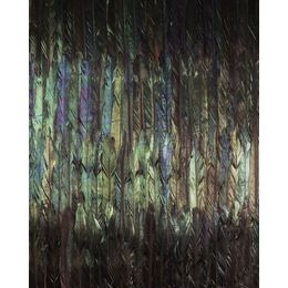 Komar Vliestapete "Digitaldruck Vlies - Dark Wings - Gr&ouml;&szlig;e 200 x 250 cm", B/L: 200mm x 250mm, Rollen:, bunt, Tapeten, Wohnzimmer, Schlafzimmer