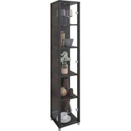 Fif M&ouml;bel Vitrine FIF M&Ouml;BEL, B:31,5cm H:172cm T:32cm, schwarz, Holzwerkstoff, Sicherheitsglas ESG, Wohnzimmer, Schr&auml;nke, "OPTIMA", Standvitrine,
