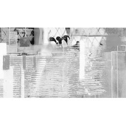 Komar Vliestapete "Digitaldruck Vlies - Rhombus Hiding - Gr&ouml;&szlig;e 500 x 280 cm", B/L: 500mm x 280mm, Rollen:, gr&uuml;n, Tapeten, Wohnzimmer, Schlafzimmer